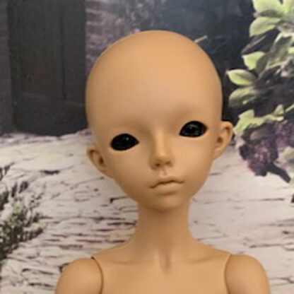 In Stock Minifee: Dolls – Denver Doll Emporium